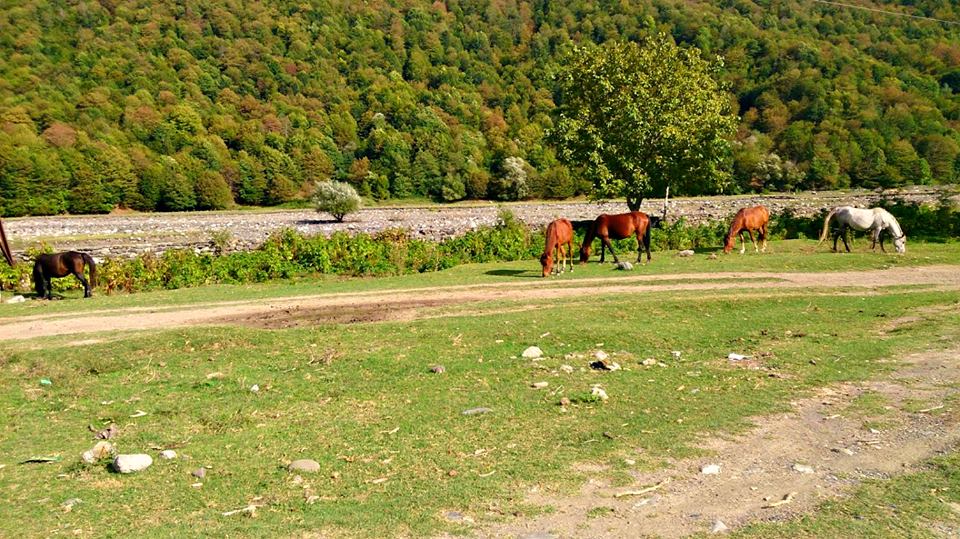 Pankisi Gorge – VISIT GEORGIA.COM